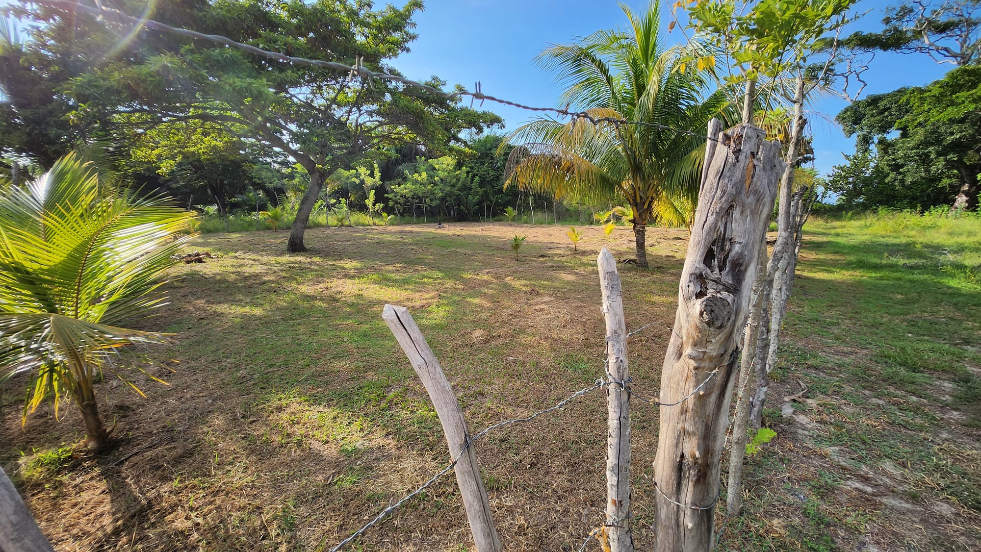 Balfate Beach Properties - Beautiful, Affordable Tropical Properties