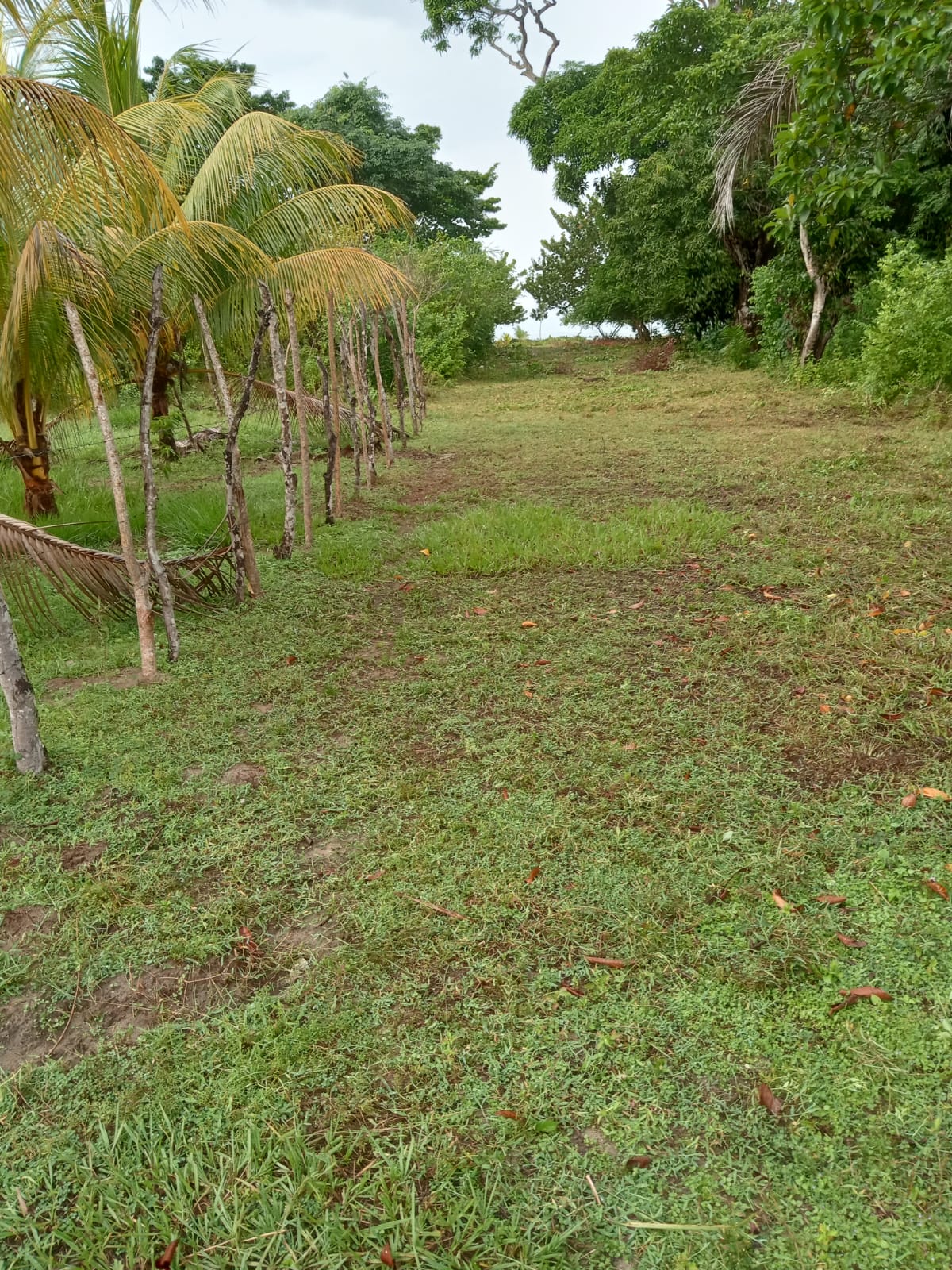 Balfate Beach Properties - Beautiful, Affordable Tropical Properties