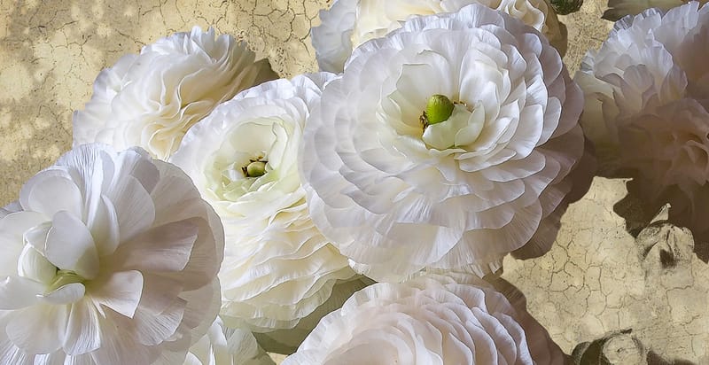 RECENT WORK IN GRAPHIC DESIGN - Jerry Gross Design