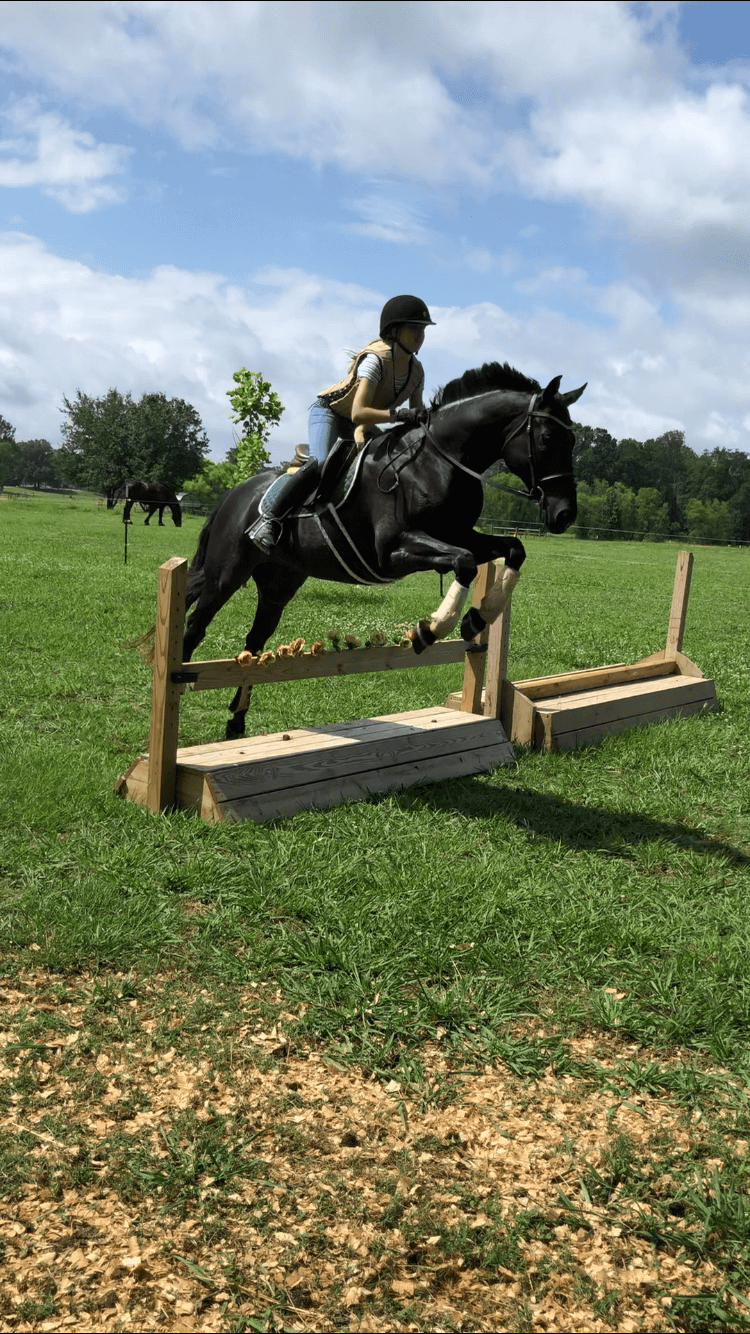 The Grounds - Scenic City Equestrian Center | Call: 706-944-3372