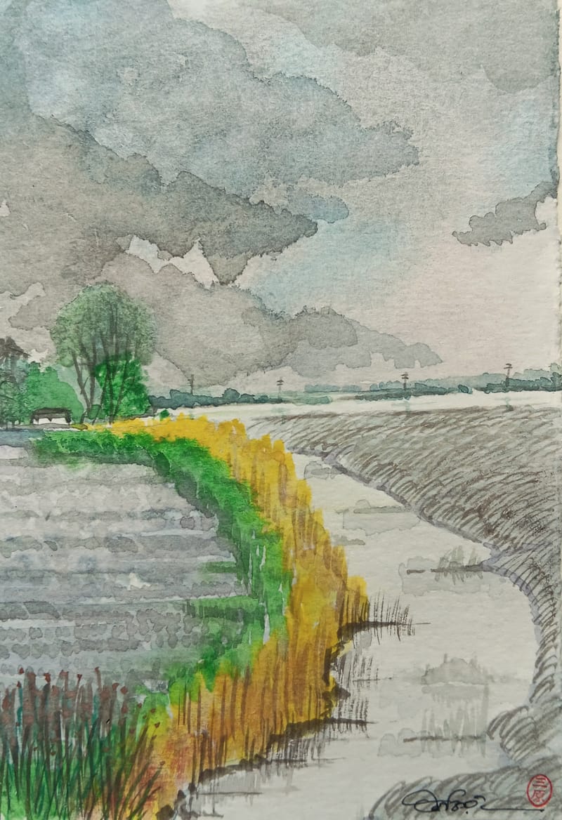 Wetlands - Doodles & Jottings