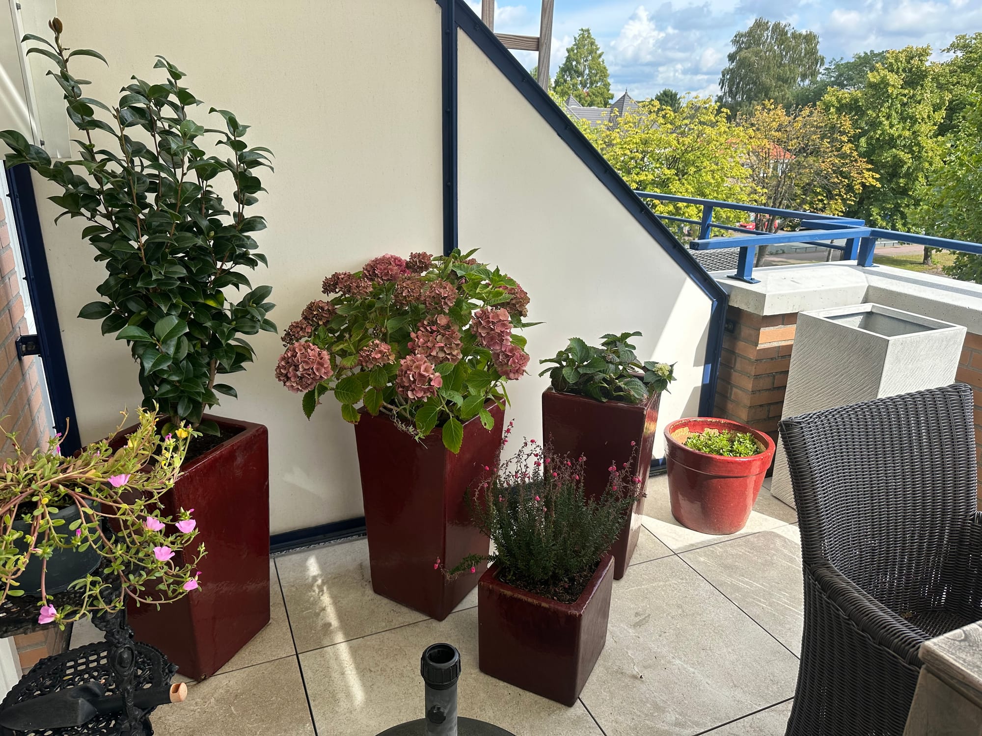 Stijlvolle Daktegels | Transformeer uw dakterras of balkon