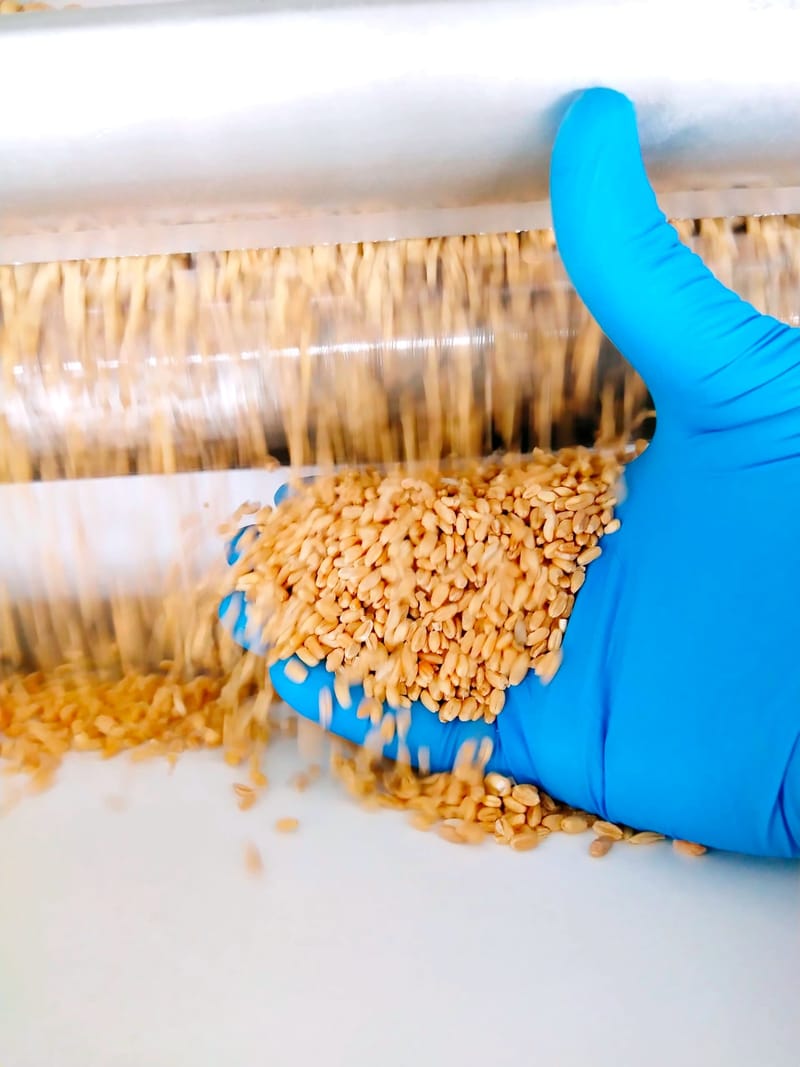 Milling and Grinding - Bost Maiwand Flour Mill Manufacturing Company