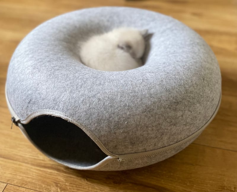 Fabi Design - Purr-fect Products for Your Feline Friend