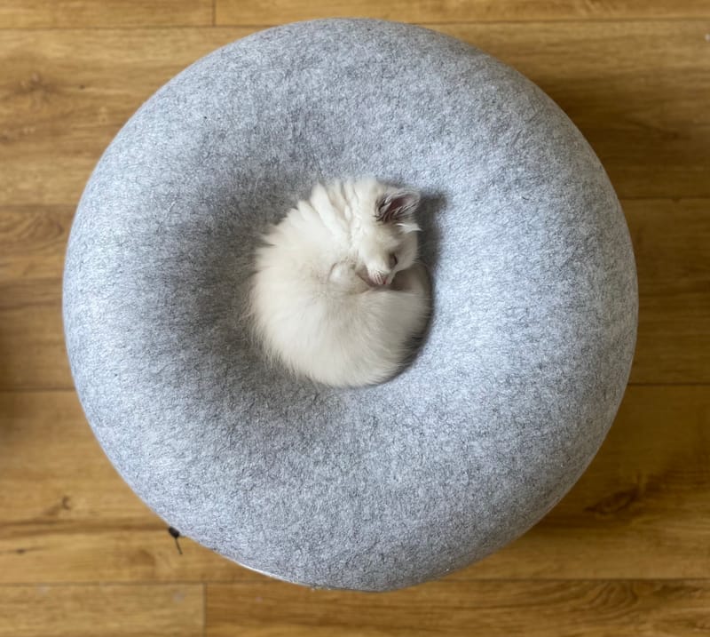 Fabi Design - Purr-fect Products for Your Feline Friend