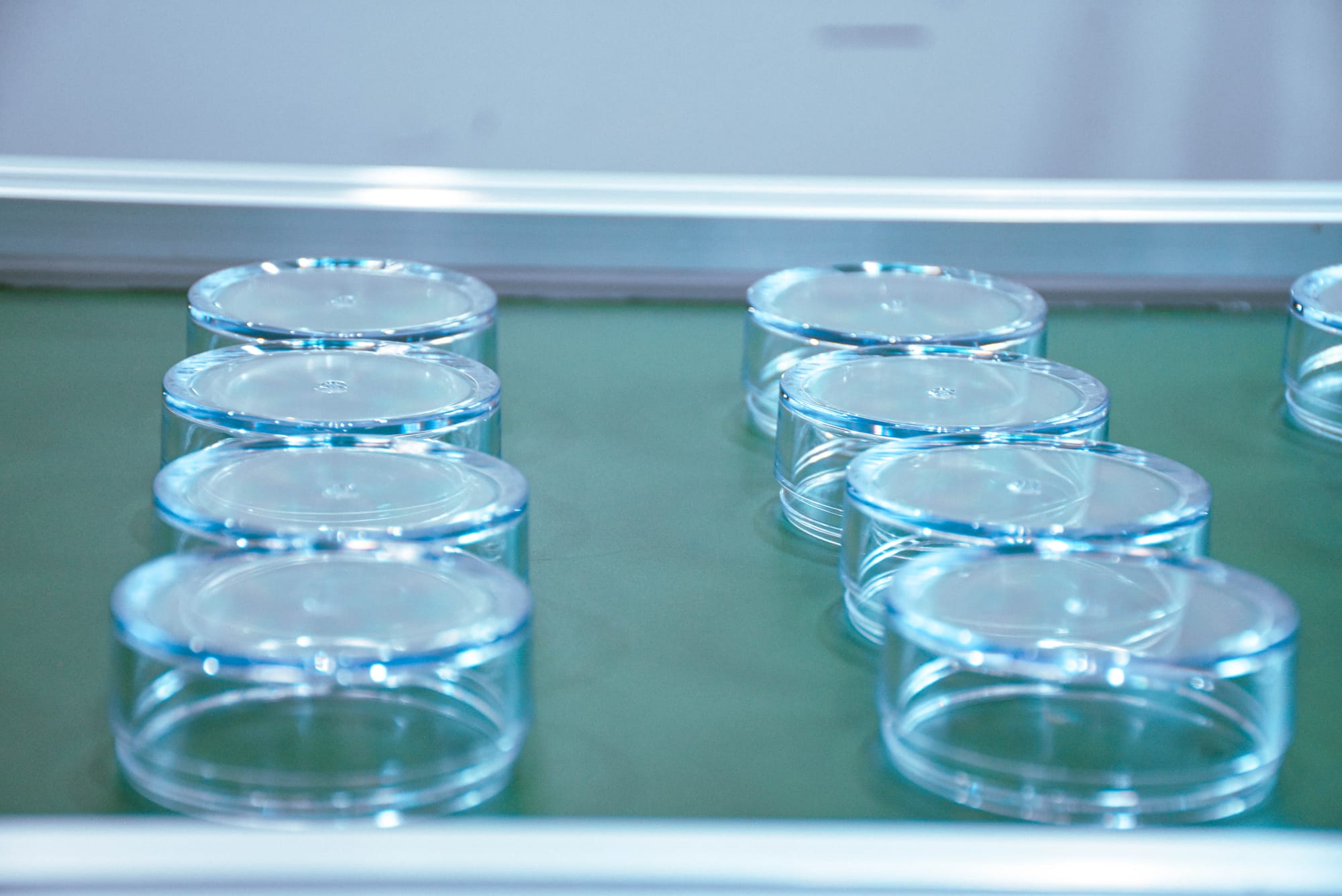 SHYAHSIN PACKAGING MEXICO SA DE CV - SHYAHSIN PACKAGING MÉXICO