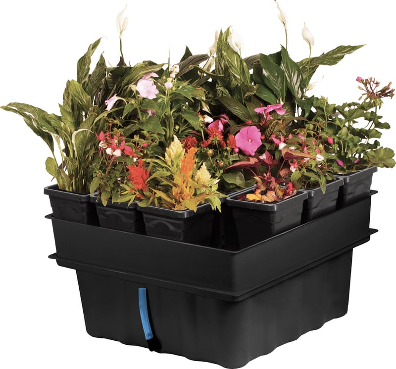 Active Aqua Root Spa 5 gal Bucket System - www.1ststateseed.com