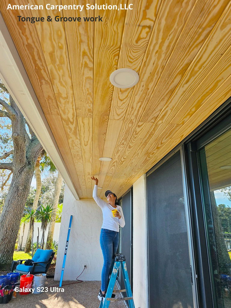 CUSTOM CEILING WORK - AMERICAN CARPENTRY SOLUTION, LLC