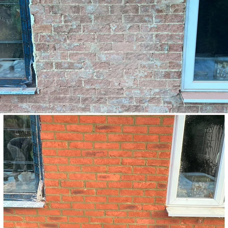 Render removal - Daniel Restoration
