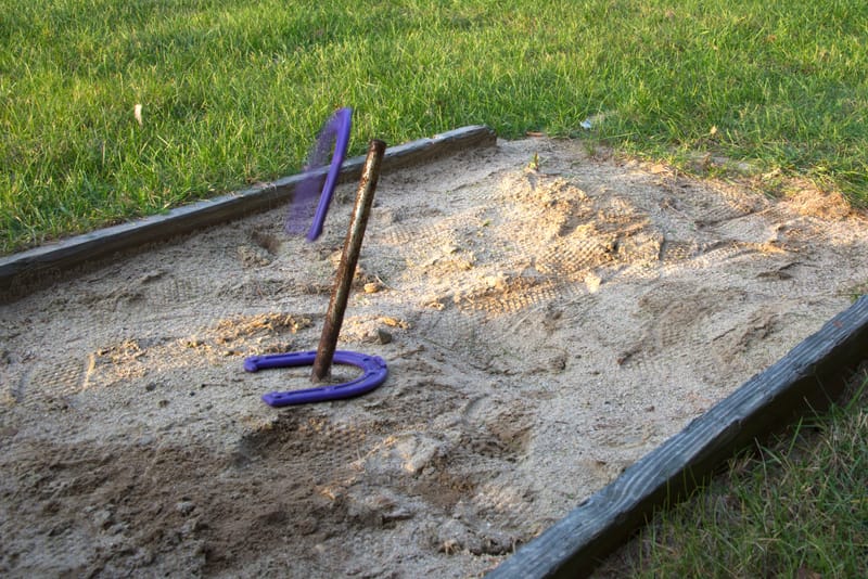 Nevada State Horseshoe Pitchers Association - Elevate Your Game with ...