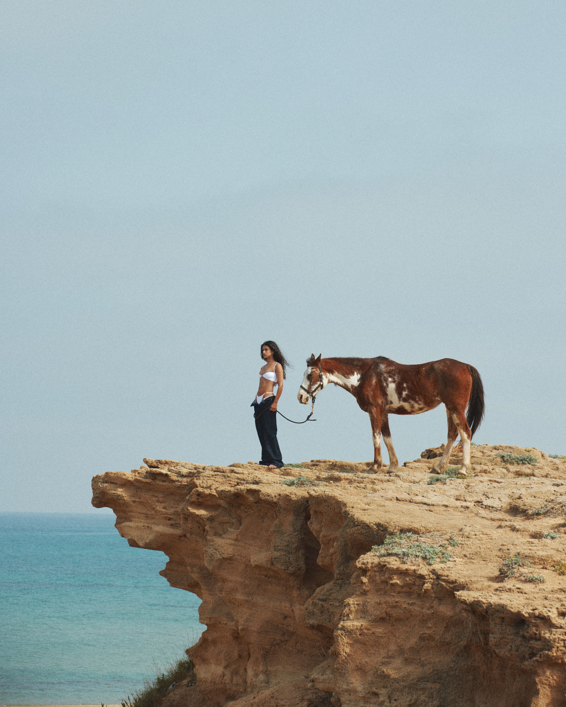 שייני | SHEINY | FASHION BRAND