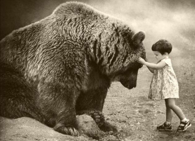 Guiding Light for Animals - Listening with the HeartHealing Through ...