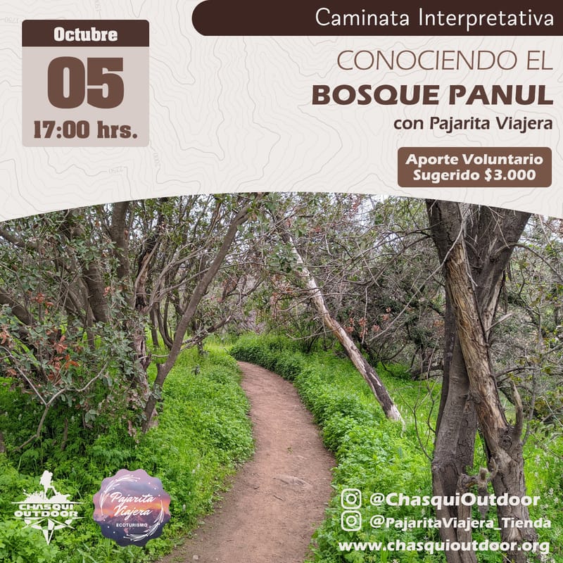 Conociendo el Bosque Panul