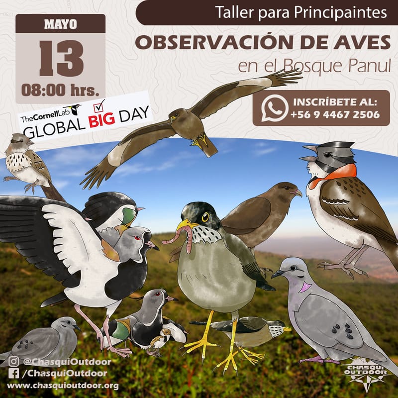 Taller de Observación de Aves para Principiantes