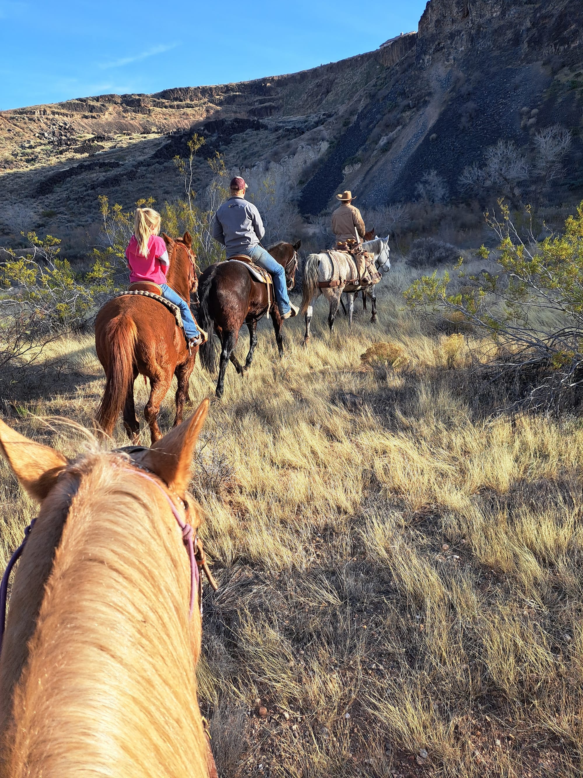 C.Campbell Trail Rides - Explore Southern Utah on Horseback